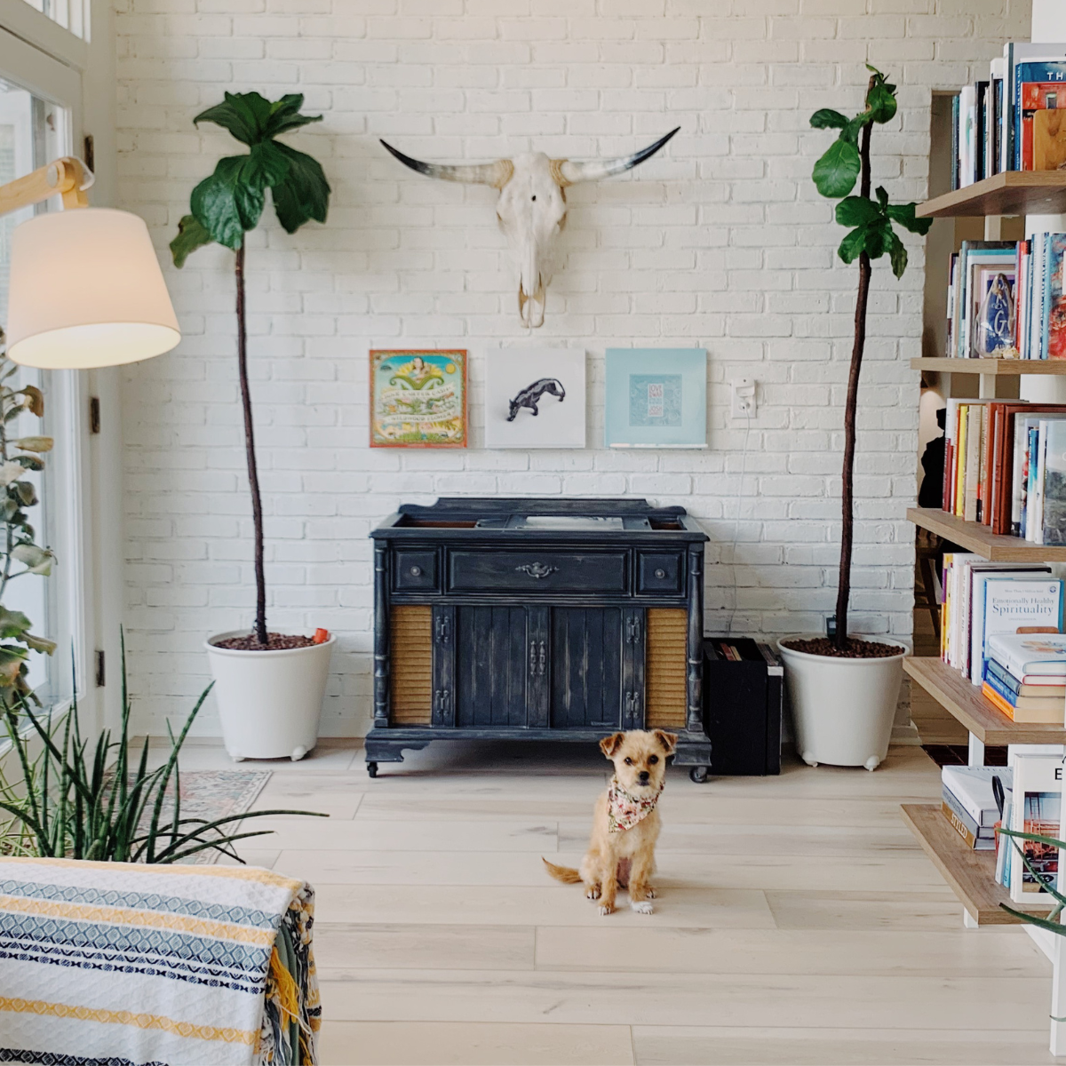 Tranquil Maple Luxury Vinyl Plank Flooring | Yuzen | Flooret - Flooret