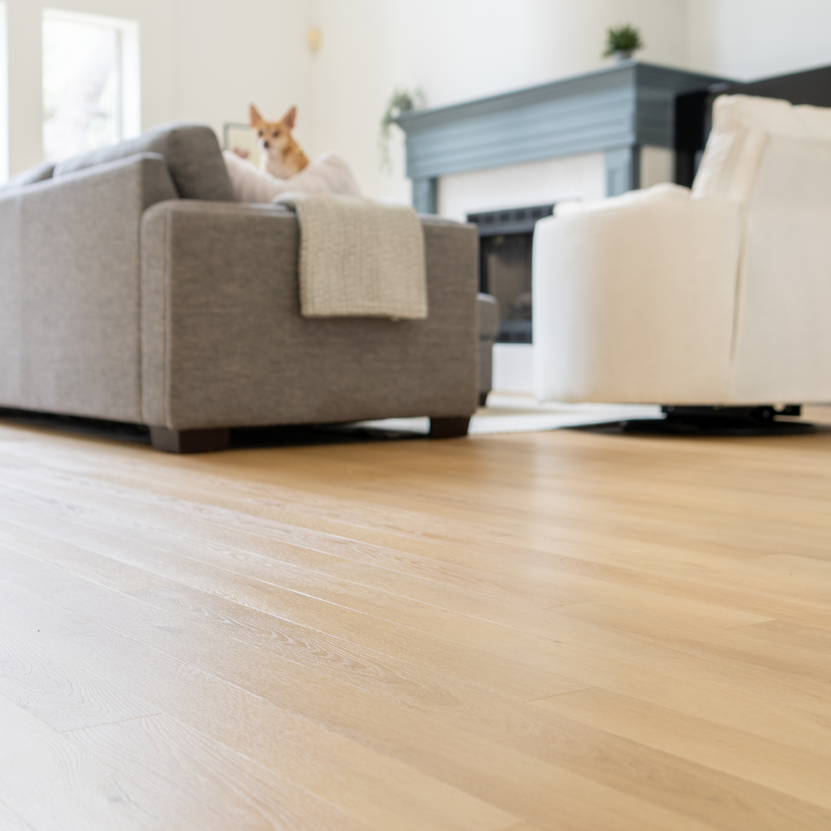Natural Oak Luxury Vinyl Plank Flooring | Soho | Flooret - Flooret